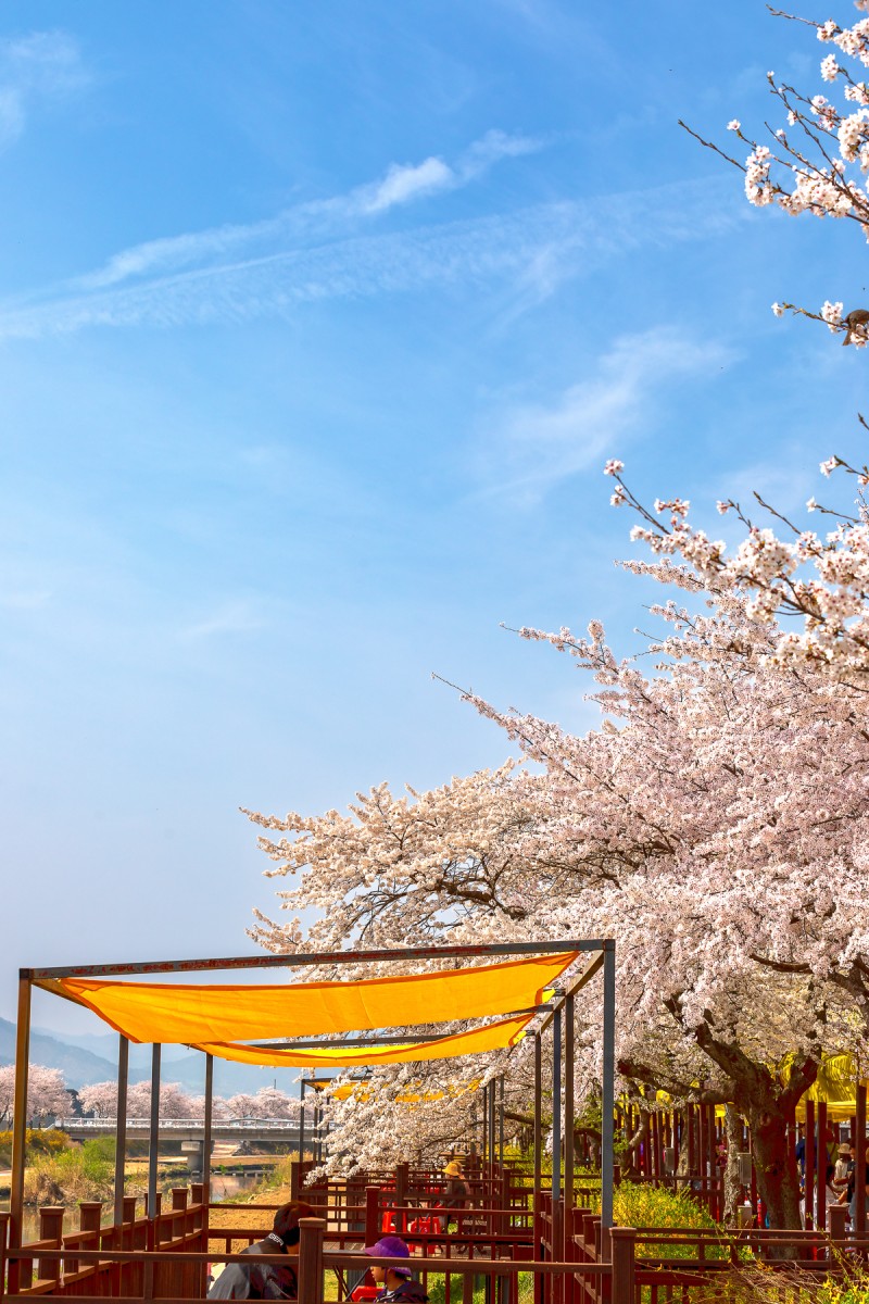 정으로 가득한 곡성 뚝방마켓은 곡성 여행의 화룡점정 | 전라남도 곡성군 | 웰로