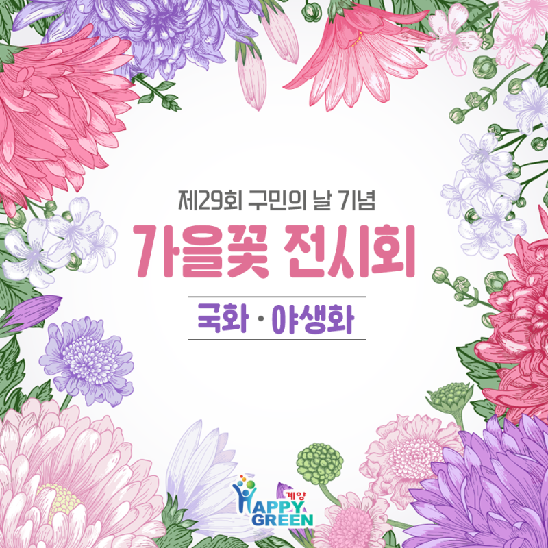 제15회 가을꽃(국화·야생화) 전시회 개최 | 인천광역시 계양구 | 웰로