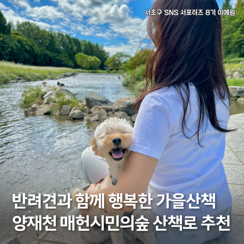 반려견과 함께하는 양재천 산책로 양재천길 카페 추천 | 서울특별시 서초구 | 웰로