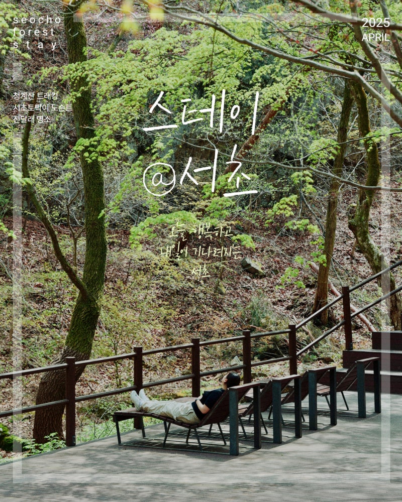 지금 가기 딱 좋은 청계산 진달래 능선 | 서울특별시 서초구 | 웰로